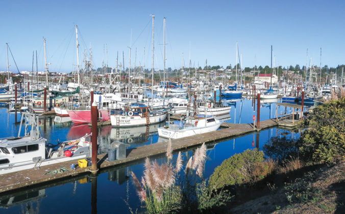 Riding the Cascades and the Coast in Oregon | Rider Magazine