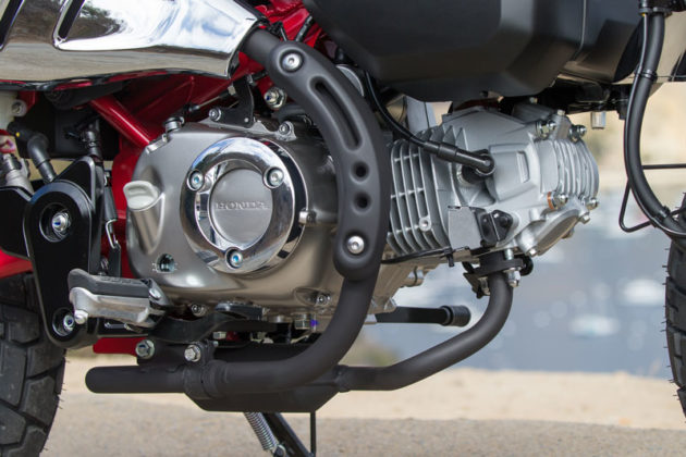 2019 Honda Monkey | First Ride Review | Rider Magazine