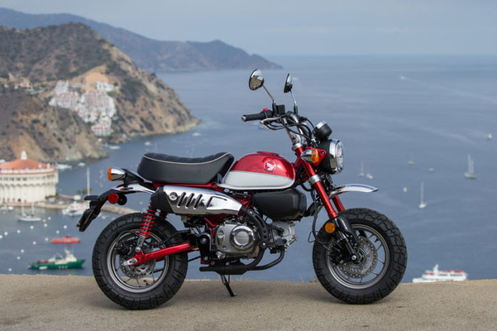 2019 Honda Monkey | First Ride Review | Rider Magazine
