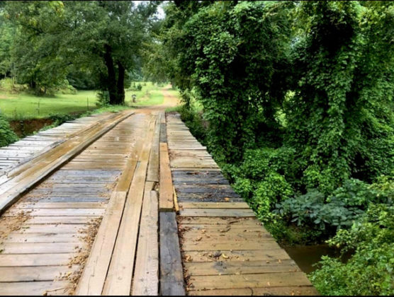 A Solo Journey on the TransAmerica Trail | Rider Magazine