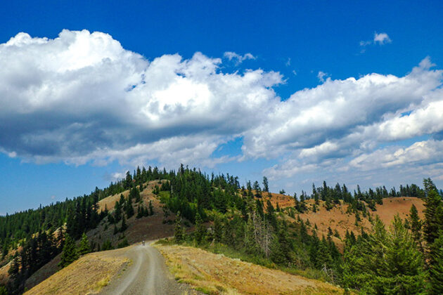 Border to Border on the Oregon Backcountry Discovery Route | Rider Magazine