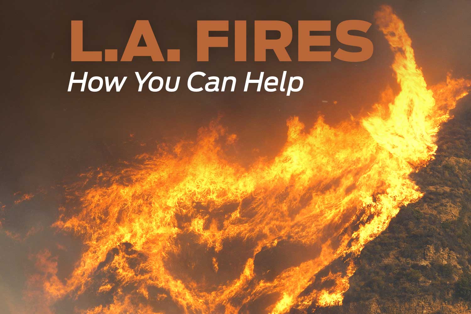 Los Angeles Fires: How to Help | Rider Magazine